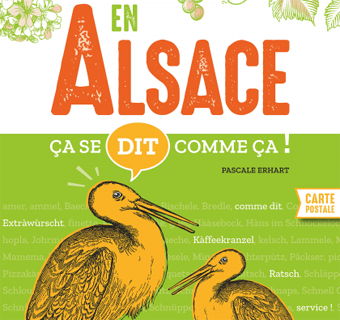 Langue et culture régionales en Alsace, tout savoir sur le dialecte ...